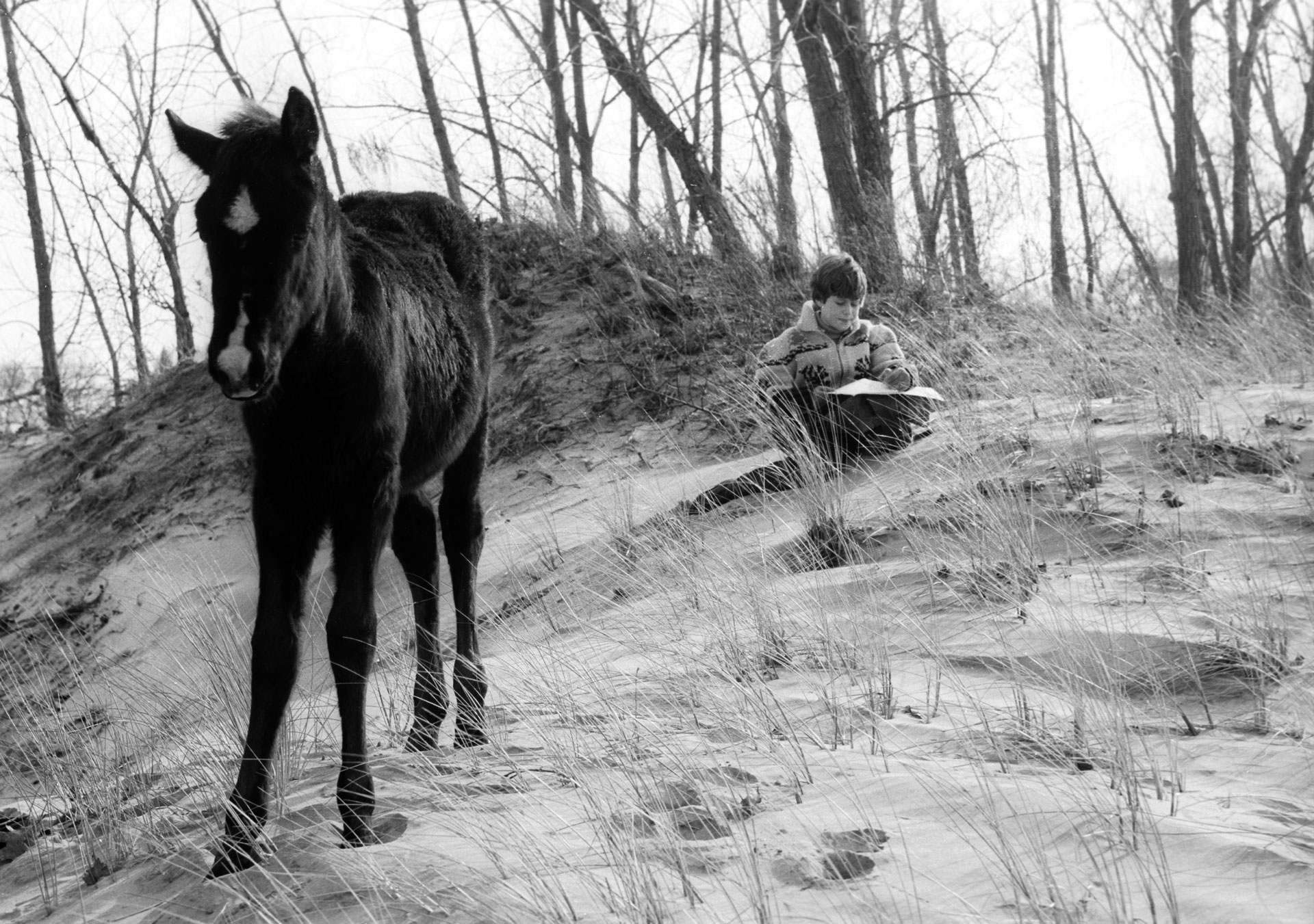 Eleanore Lindo, Director - Dramatic Detour Productions Inc.